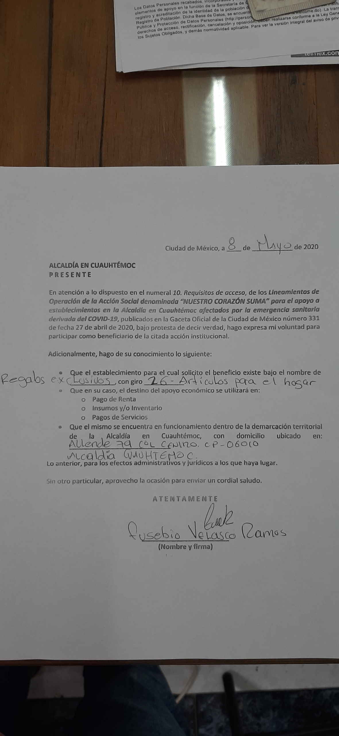 Carta Bajo Protesta de Decir Verdad y Solicitud de Ingreso a la Acción ...