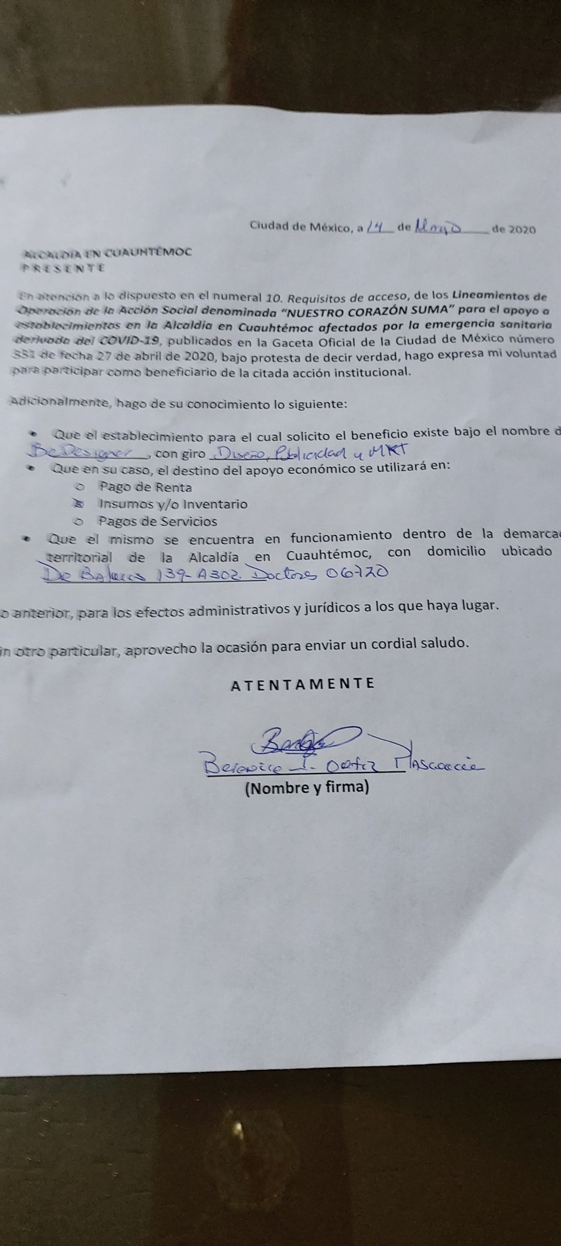 Carta Bajo Protesta de Decir Verdad y Solicitud de Ingreso a la Acción ...