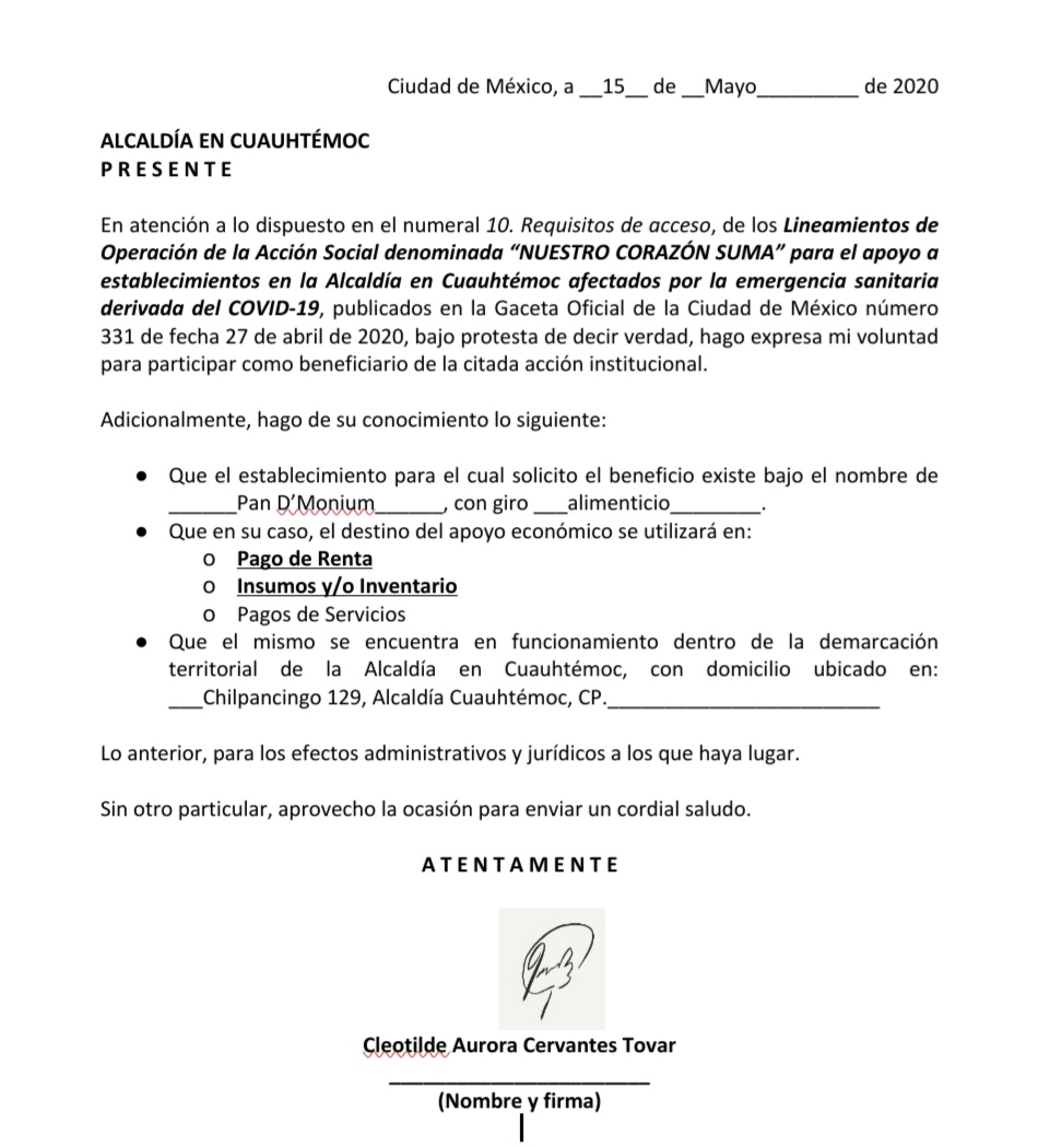 Carta Bajo Protesta de Decir Verdad y Solicitud de Ingreso a la Acción ...